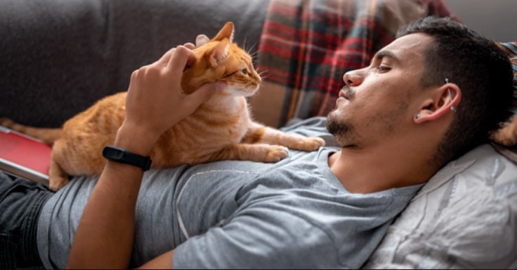 Por que gatos miam mais para humanos do que para se comunicar entre si?