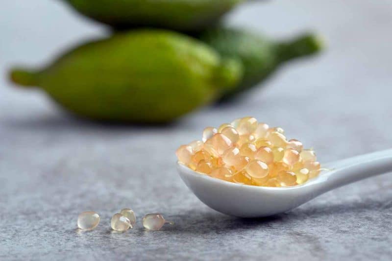 Conheça a fruta exótica produzida em SC que pode chegar a R$ 2 mil o quilo