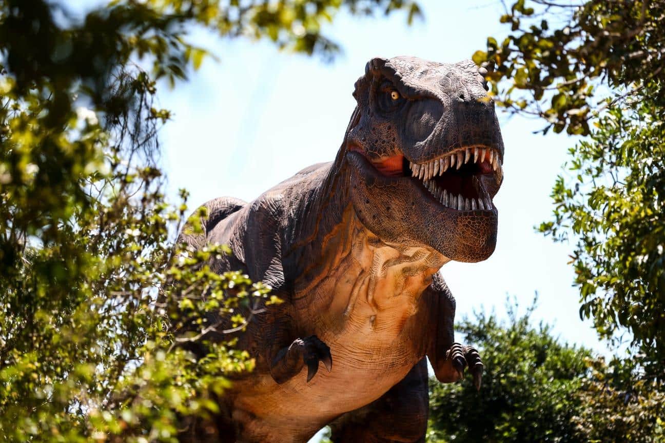 Cientistas querem criar o 1º couro de T. Rex do mundo